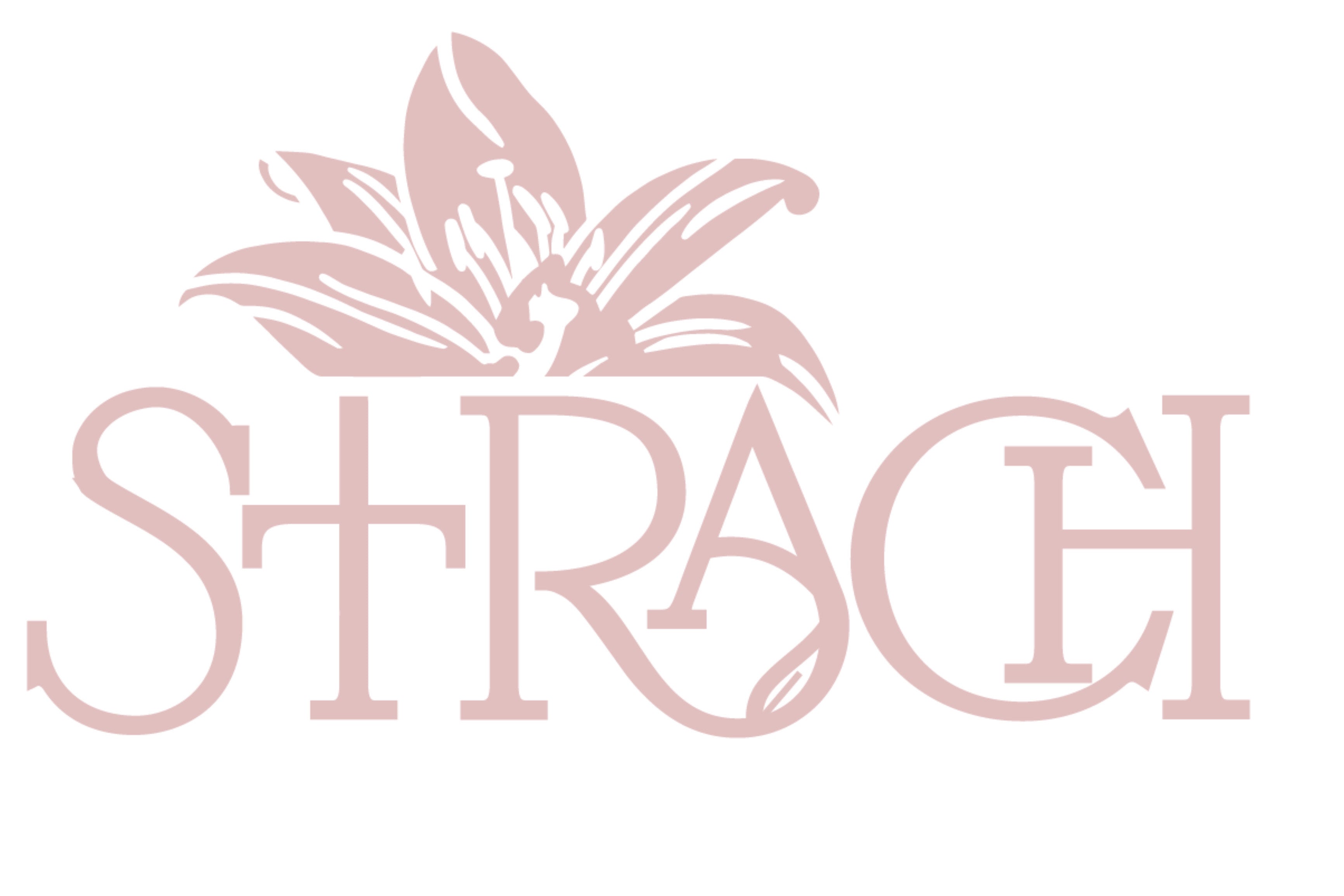 Strach Style